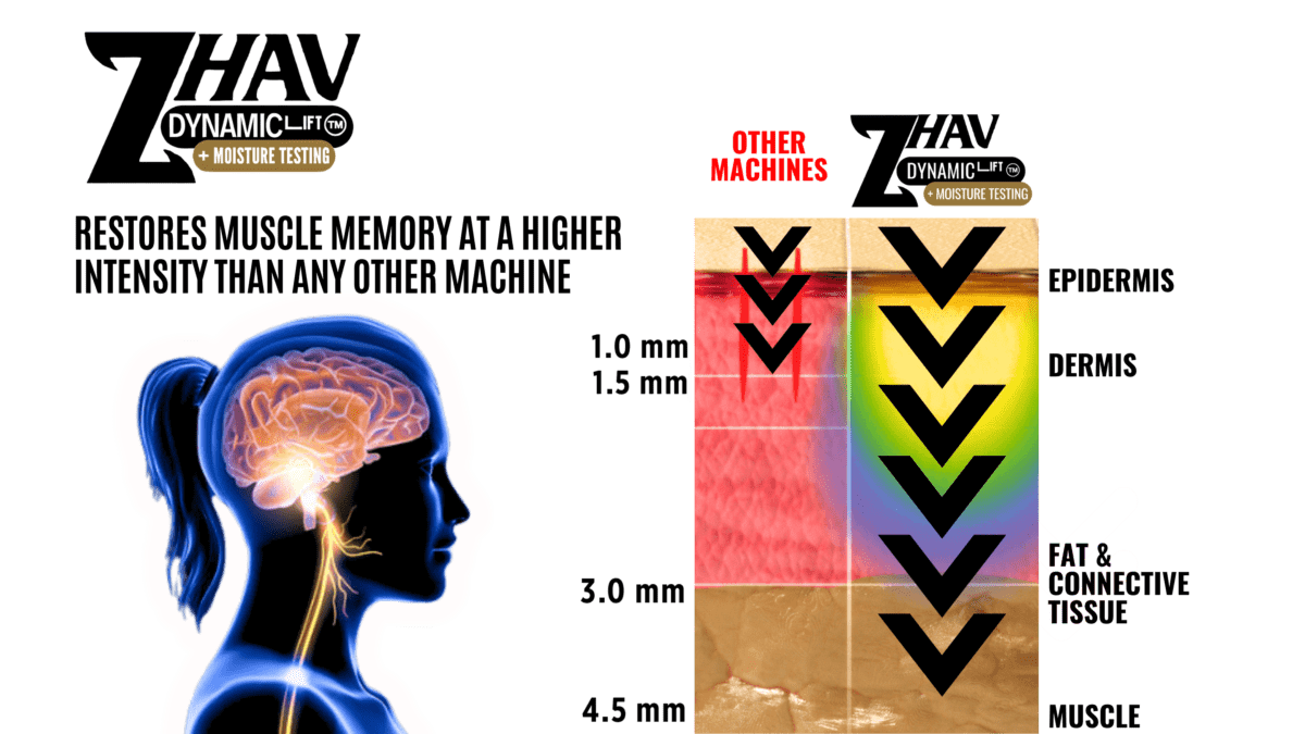 ZHAV DYNAMIC LIFT TM + MOISTURE TESTING- Hands-Free Machine