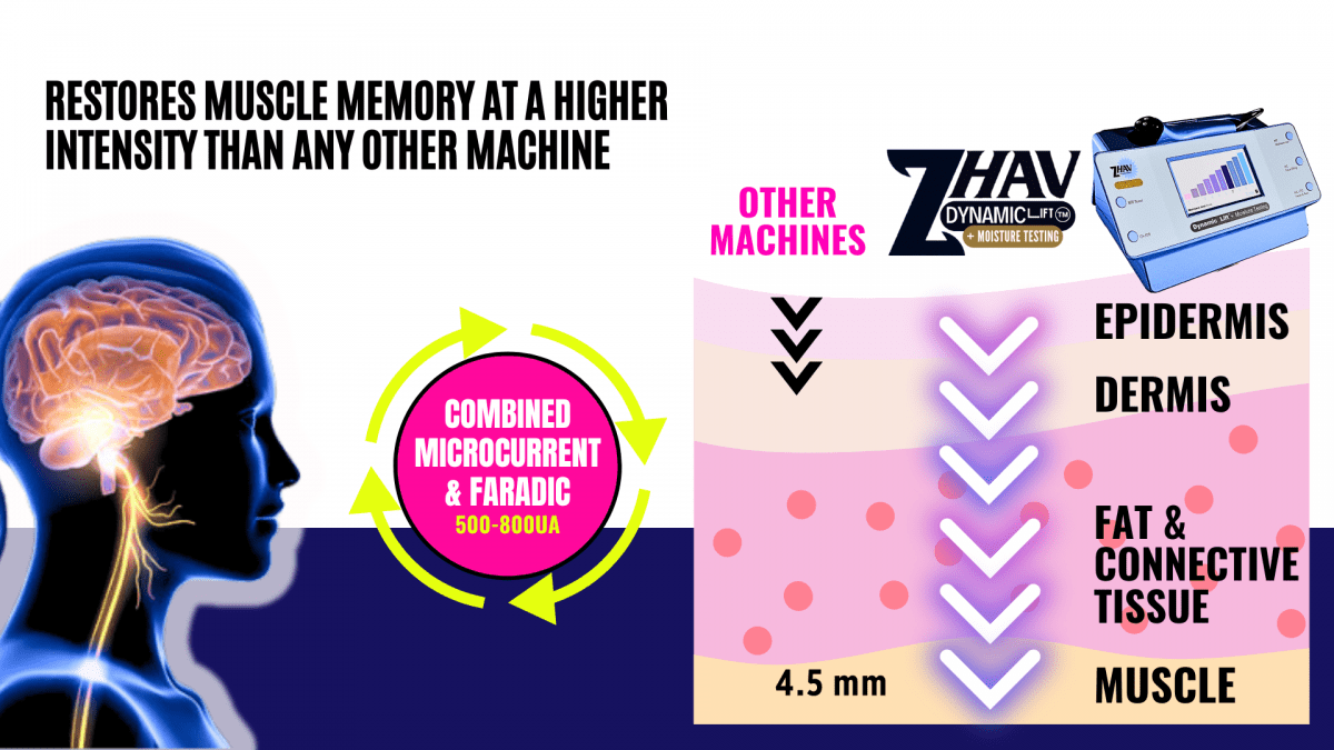 NEW Zhav Dynamic Lift TM + Moisture Testing – Beauty Salon Supplies ...